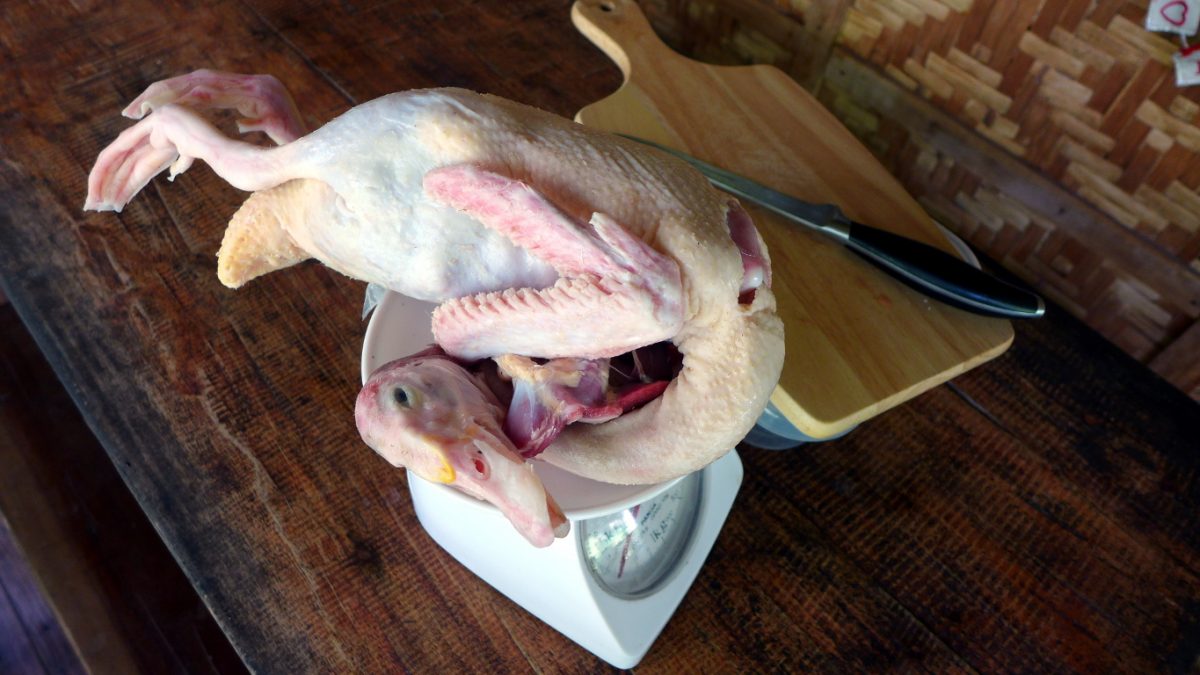 Duck Weekend: Duck springrolls – Duckduckbro