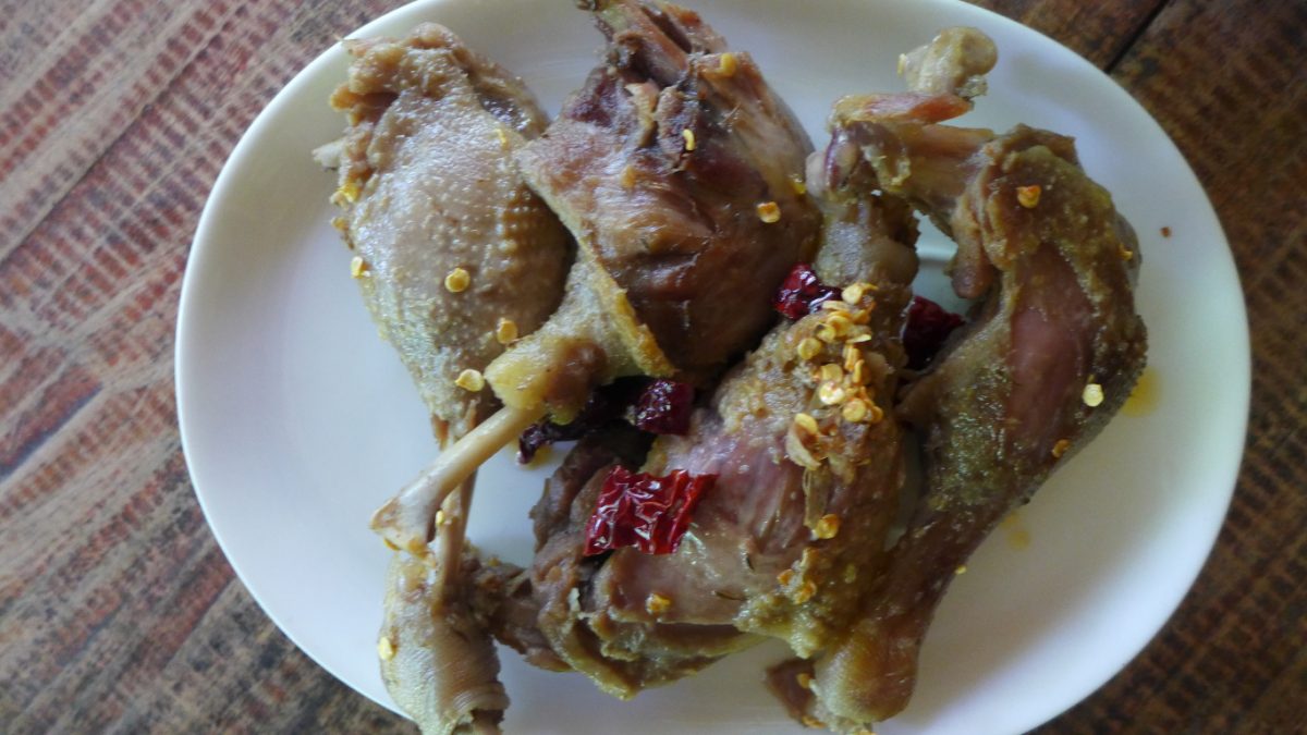 The Versatile Duck – Duckduckbro