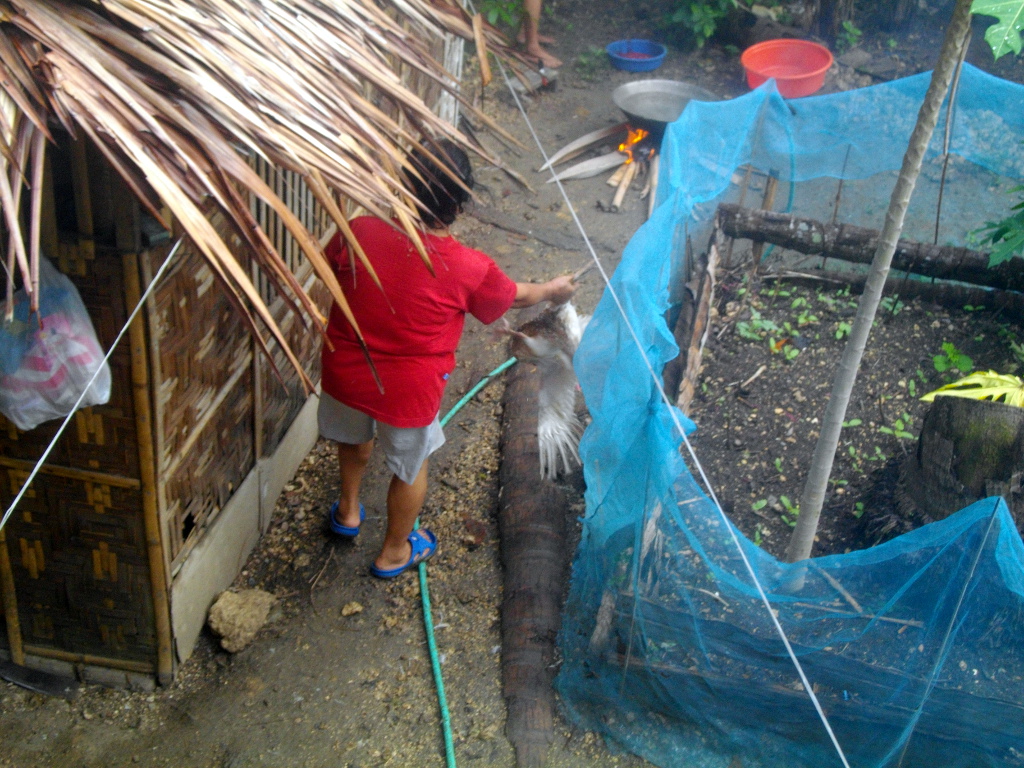 The Duck Butcher – Duckduckbro