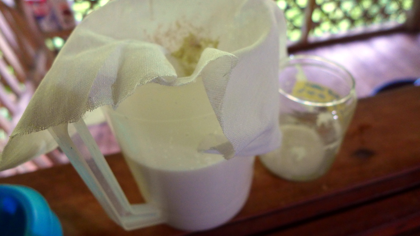 How to Make Lactic Acid Bacteria Serum – Duckduckbro