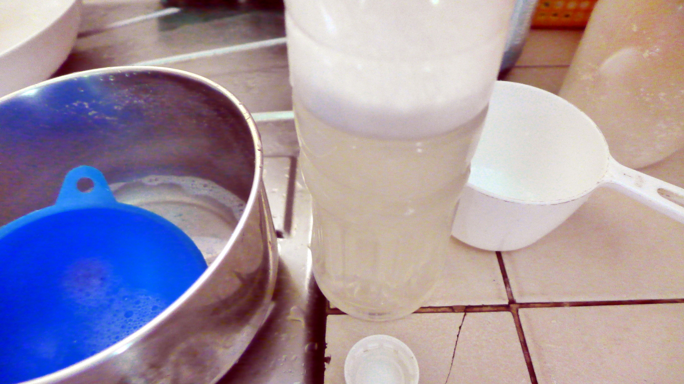 Homemade Dishwashing Liquid – Duckduckbro